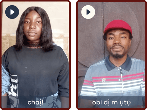 Learn Igbo Language with Memrise