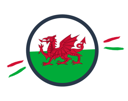 Learn Welsh Language with Memrise