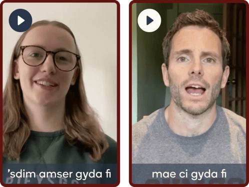 Learn Welsh Language with Memrise